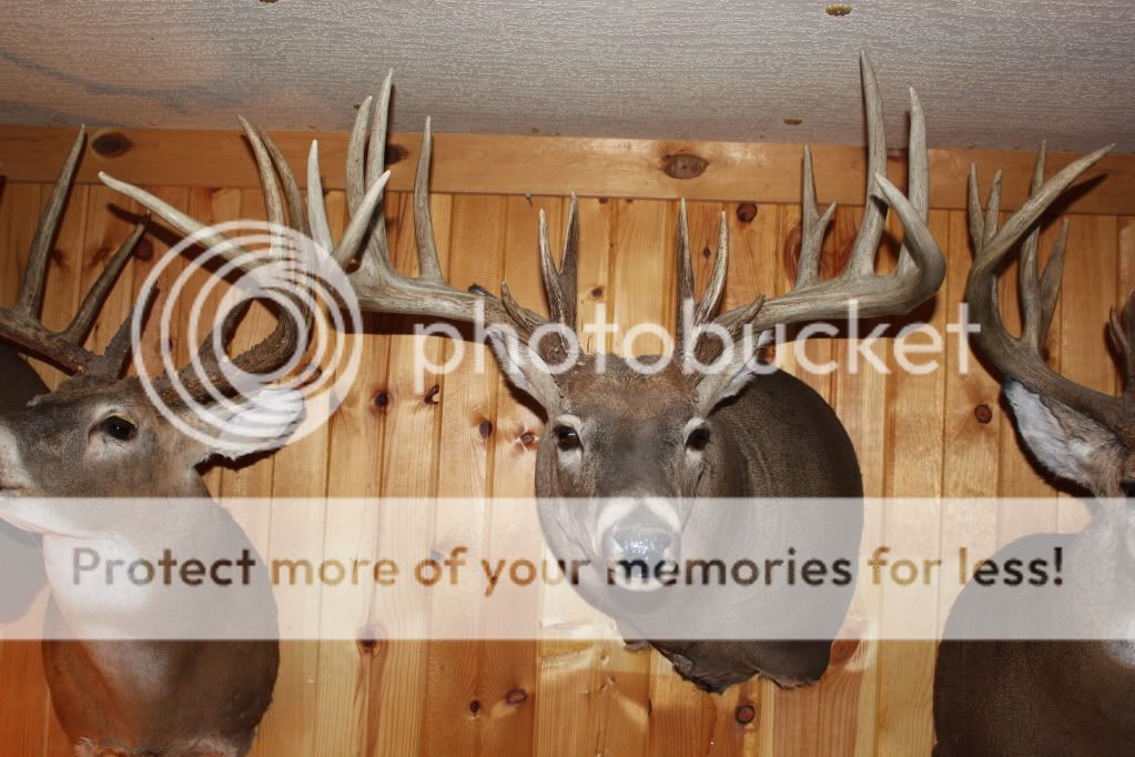 Pics of my 200 incher 2 yrs later. | Page 5 | Archery Talk Forum